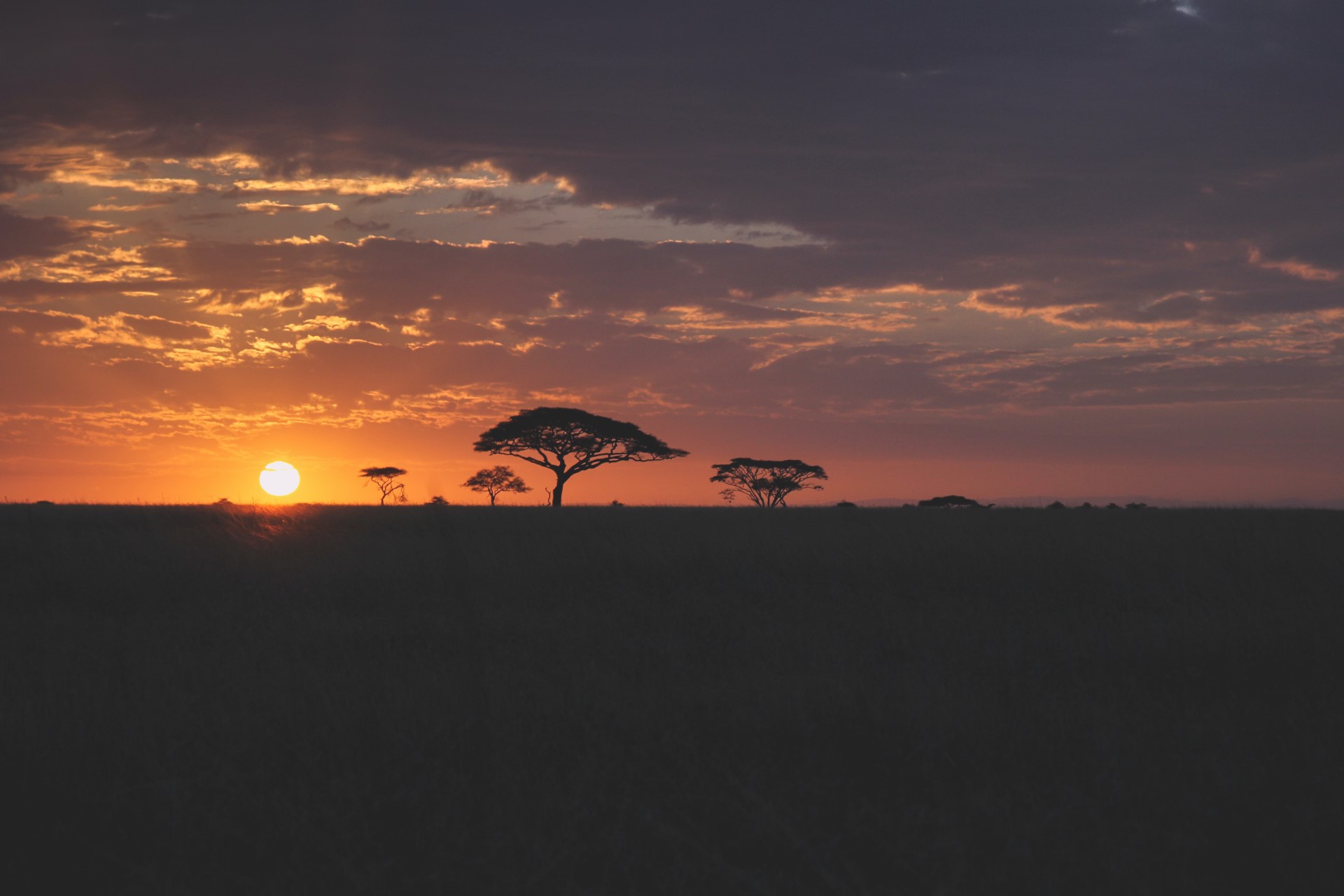 Tanzania - Travelling 360°